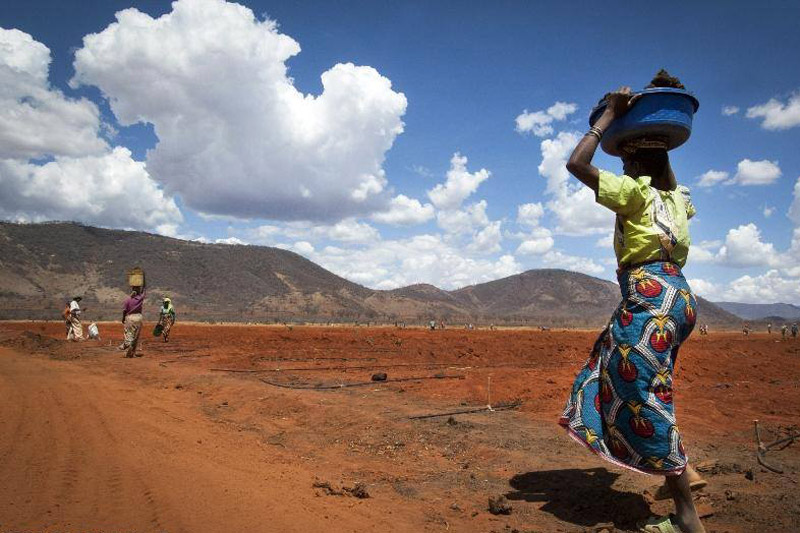 Post Cop 21 Países Vulnerables Al Cambio Climático Emplazan A Los